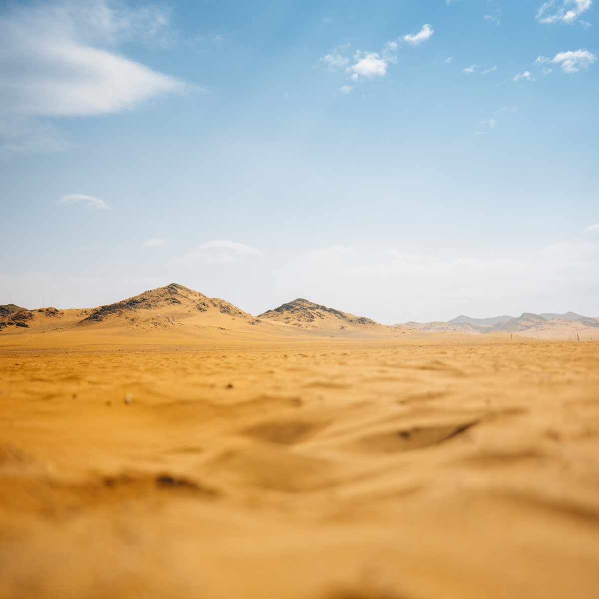 Your guide to the 2024 Desert X Prix