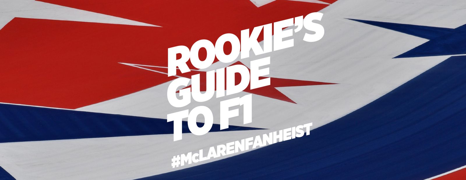 Rookie's guide to F1