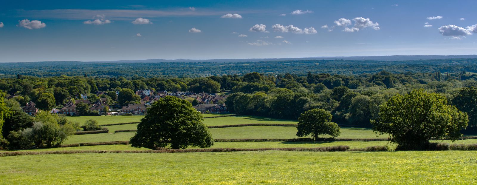 Sainz's Surrey survival kit